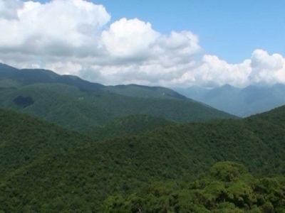 Taiwan Forestry Research Institute-Nature Reserve Information